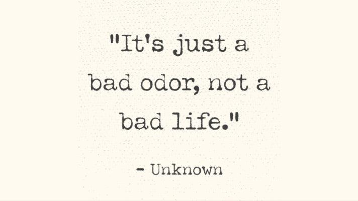 Unmasking the Mystery of Bad Odors: The Science behind Malodor and How ...